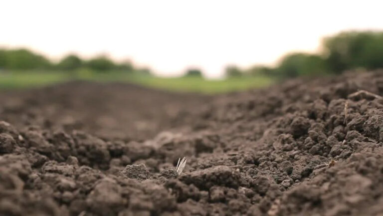 The ABC’s of Soil Health – An Overview – Norkenzie Farms